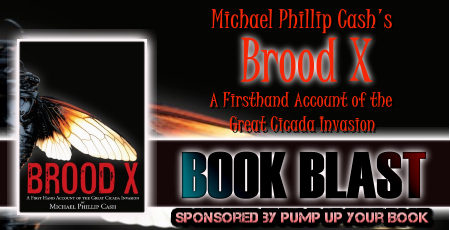 Spotlight on Brood X: A Firsthand Account of the Great Cicada Invasion ...