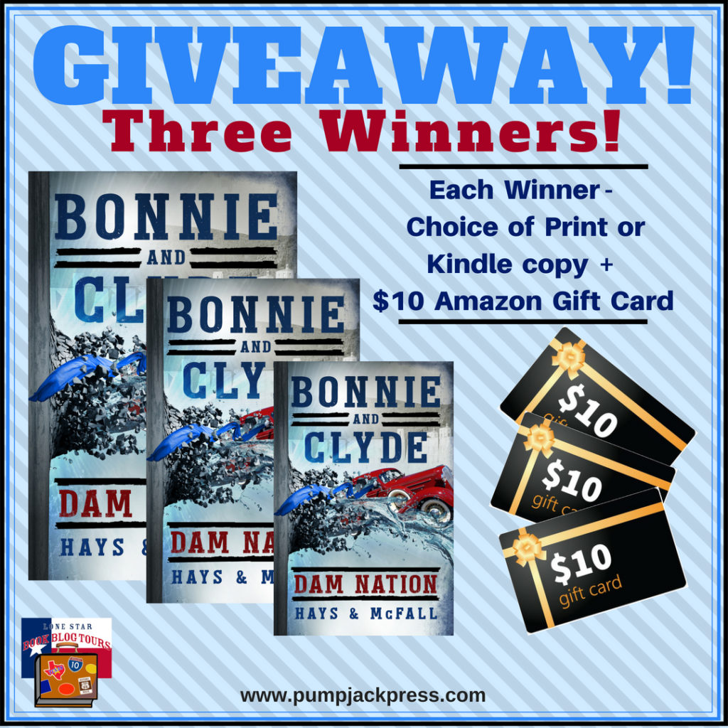 Spotlight: Dam Nation by Hays & McFall – with Giveaway | Bibliotica