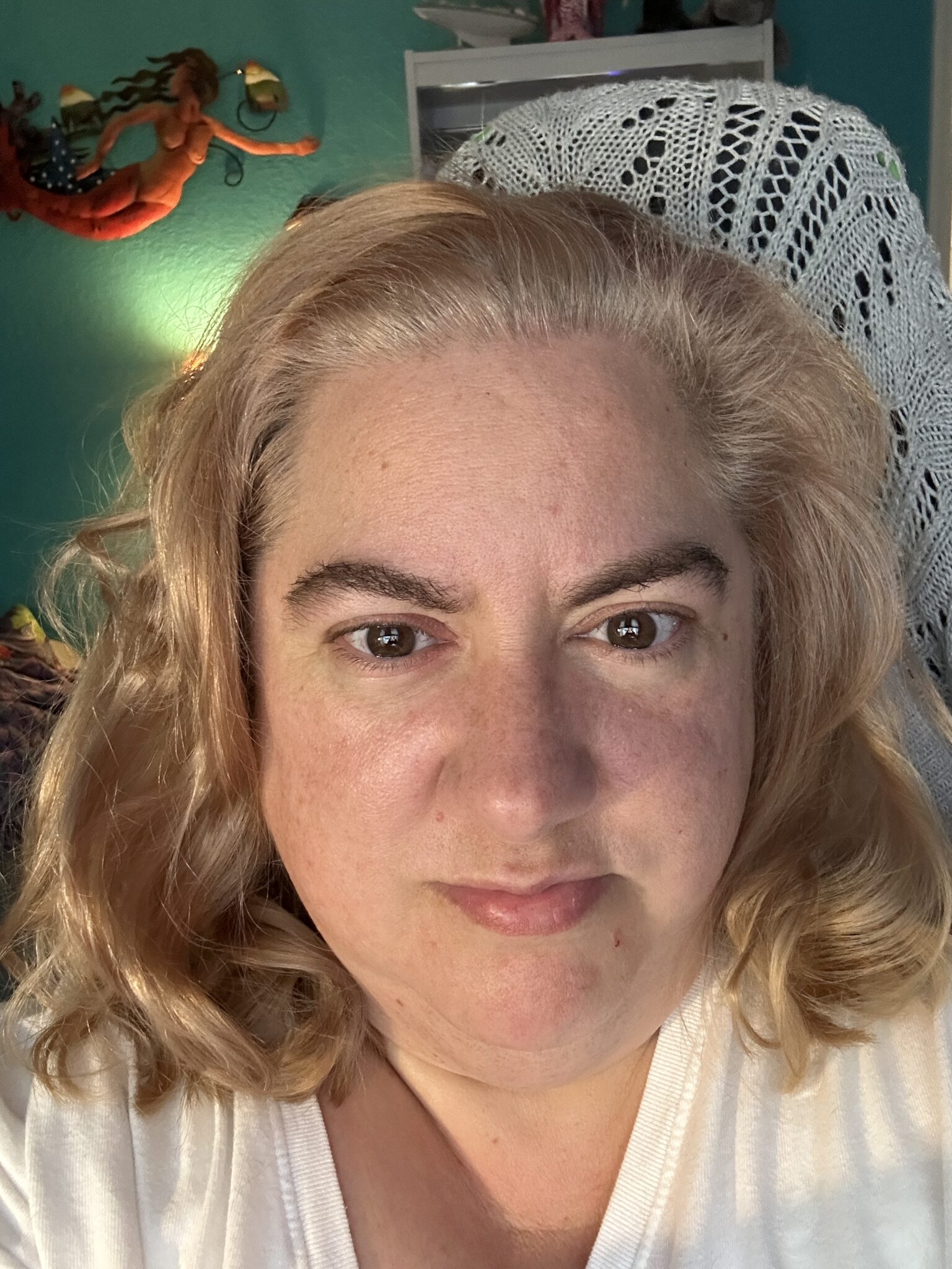 Book Review: Vaulting Through Time by Nancy McCabe | Bibliotica