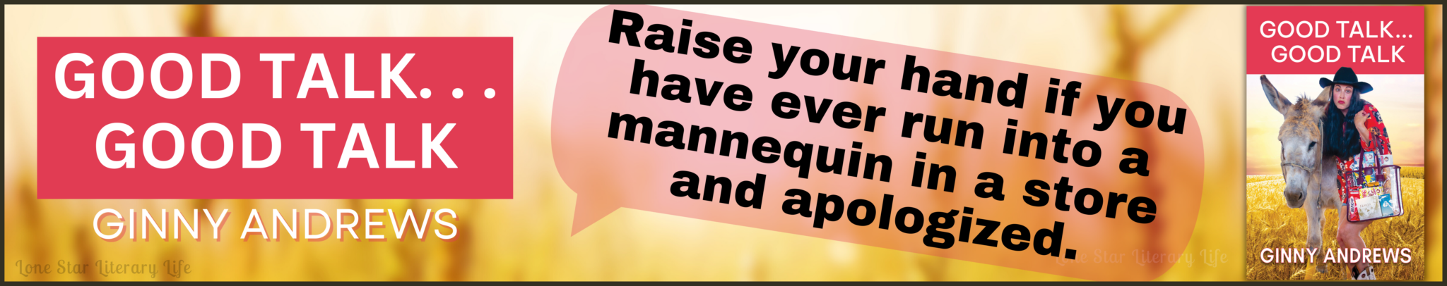 Good Talk… Good Talk, by Ginny Andrews – Book Review and Giveaway ...